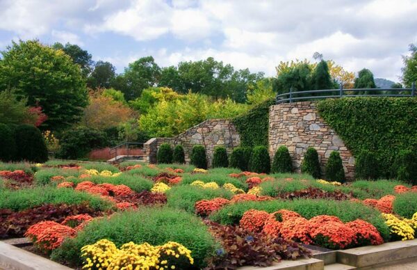 Blue Ridge Parkway Summer Asheville: Best Scenic Stops